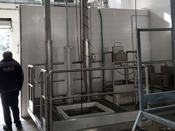 Cattle - Gab Costruzioni